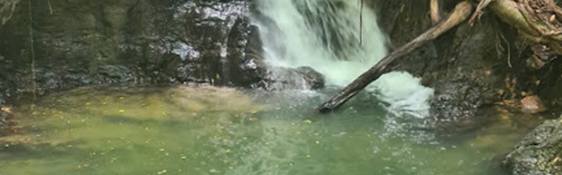 Rampanalgas Waterfall - Hiking Association of Trinidad & Tobago