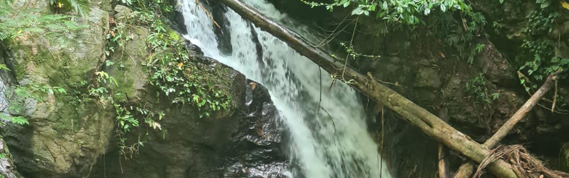 Balandra Basin, Alcindor Trace - Hiking Association of Trinidad & Tobago